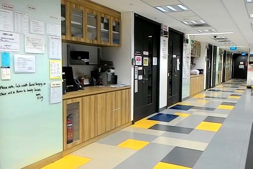 CBIS Laboratory Facilities - NUS Biological Sciences | NUS Biological ...