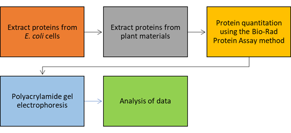 Protein Workshop for Pre-U Students - NUS Biological Sciences | NUS ...