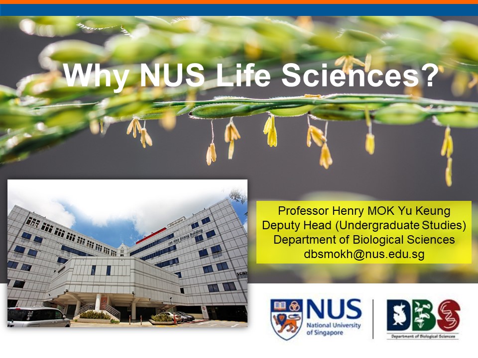 Faculty of Science (FoS) E-Open House 2020 - NUS Biological Sciences ...