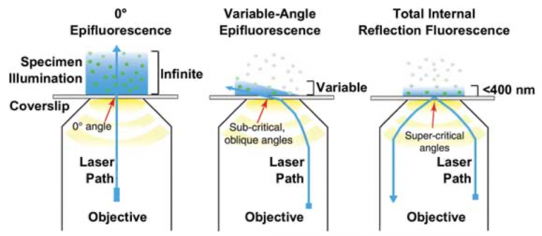 CBIS LM Core: Live-SR spinning disk confocal with TIRF - NUS Biological ...