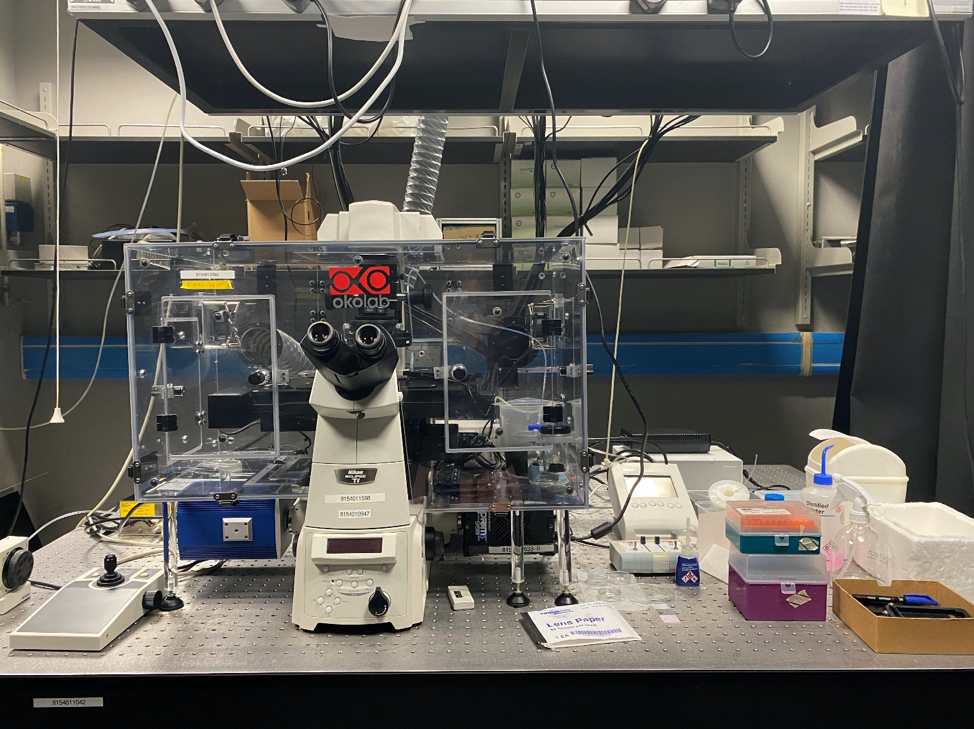 CBIS Light Microscopy Core Archives - NUS Biological Sciences | NUS ...