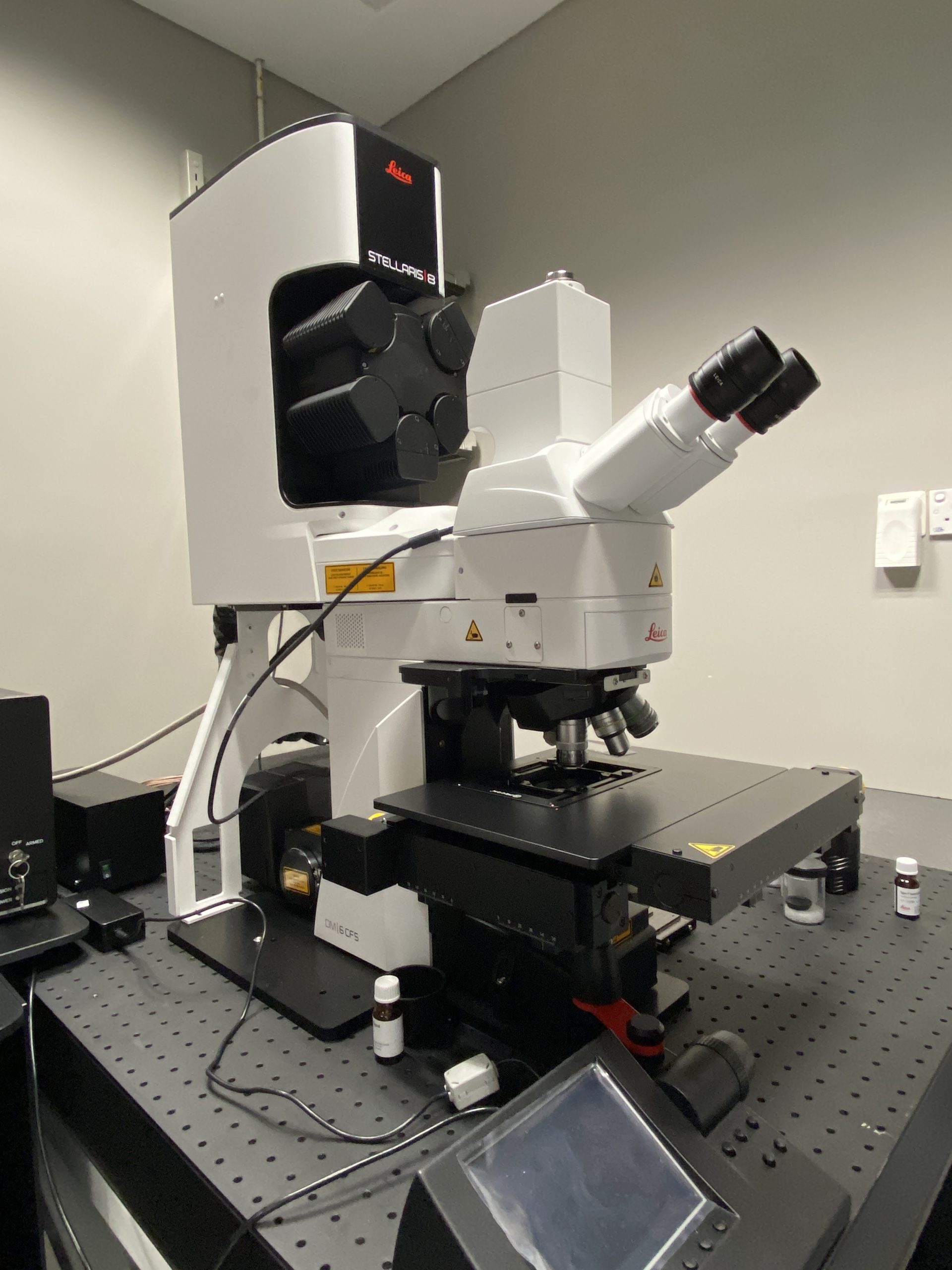 CBIS LM Core: Leica STELLARIS 8 FALCON (upright) - NUS Biological Sciences | NUS Biological Sciences