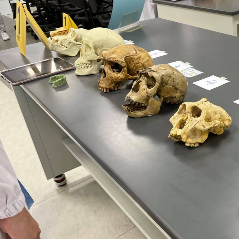 MSc Forensic Science - NUS Biological Sciences | NUS Biological Sciences