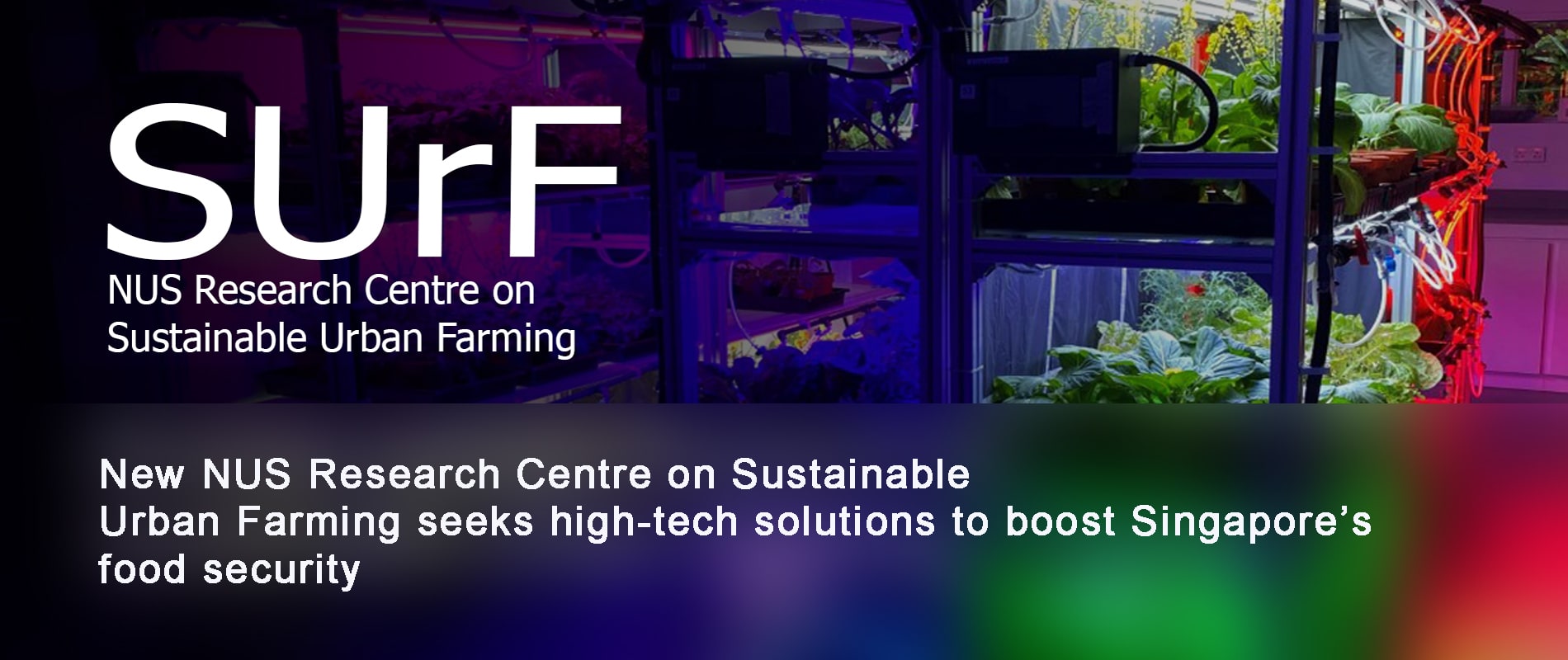 NUS Biological Sciences - NUS Biological Sciences