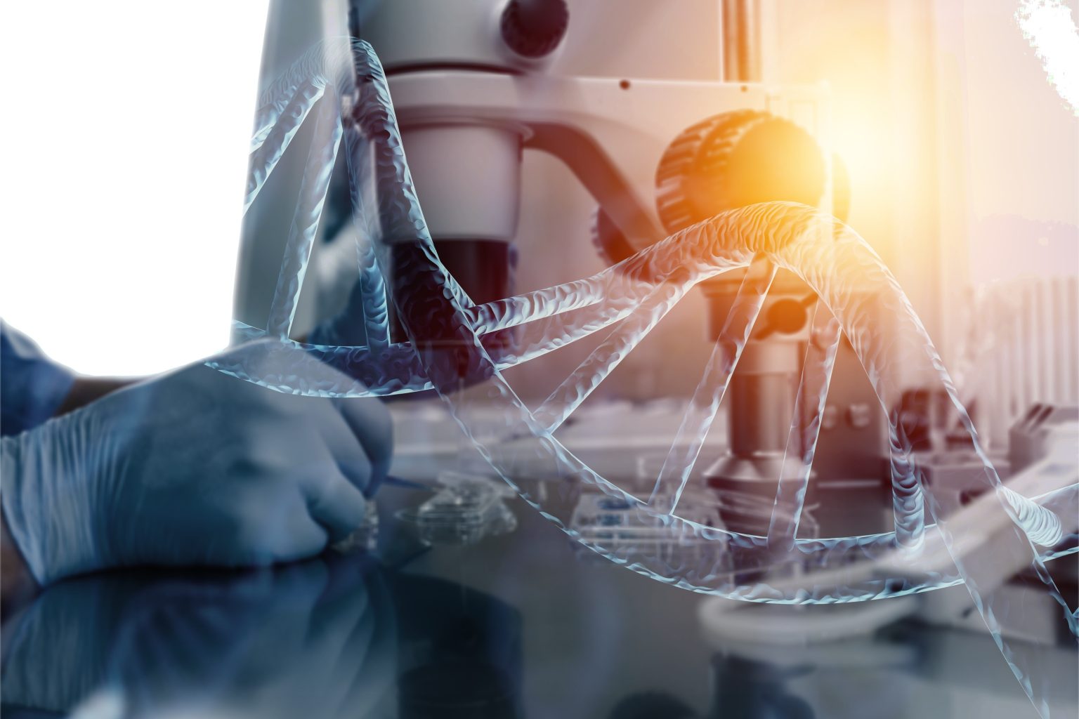 MSc Biotechnology - NUS Biological Sciences | NUS Biological Sciences