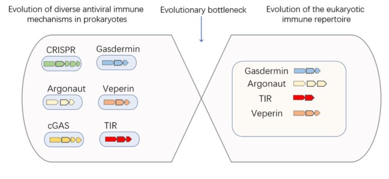 HU CHUNYI - NUS Biological Sciences | NUS Biological Sciences