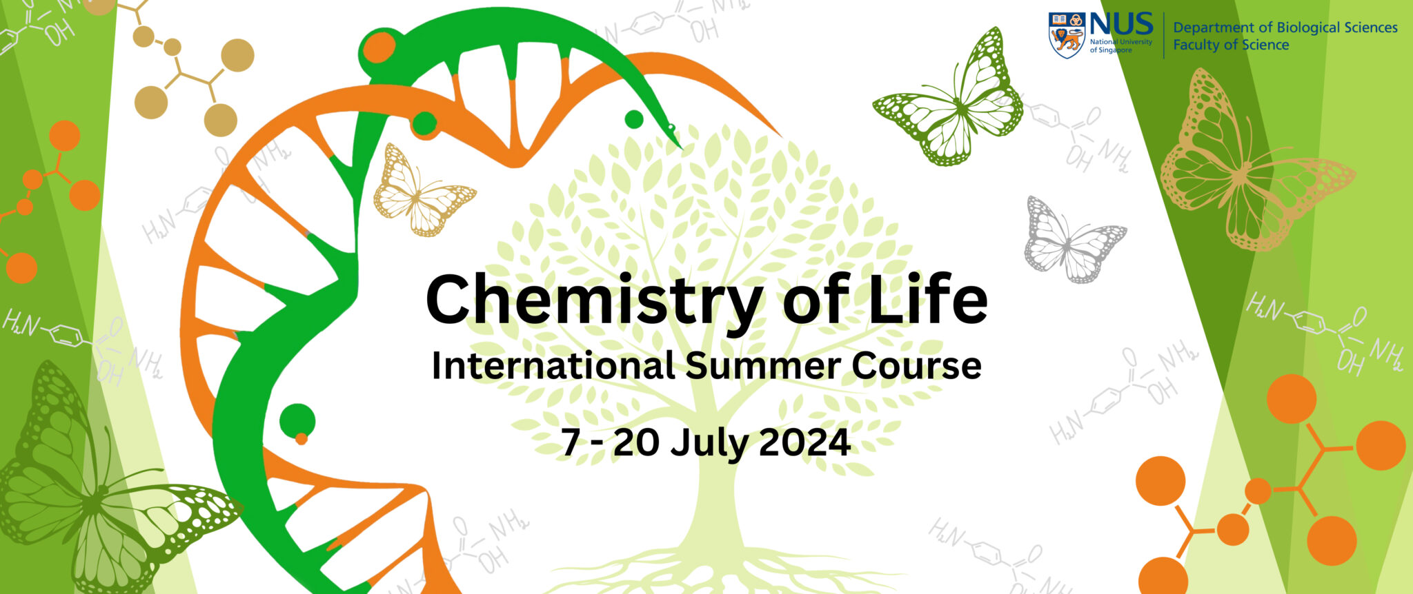 DBS Summer Course 2024 - Chemistry of Life | 7 - 20 July 2024 - NUS ...